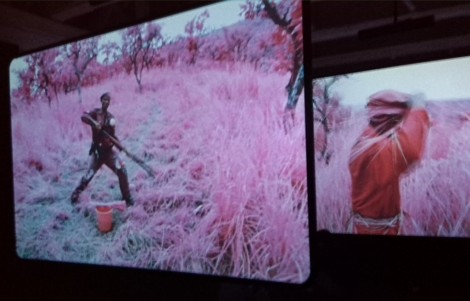 The Blogs: Art Island: The Venice Biennale 2013 | Heddy Breuer Abramowitz | The Times of Israel