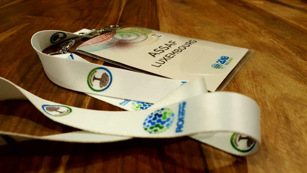 The Blogs: Reflections From The 2018 ROI Summit | Assaf Luxembourg ...