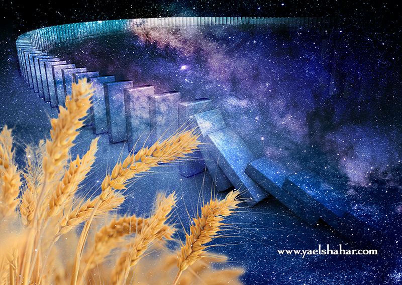 The Blogs: Parashat Vayigash: The tears for what might have been | Yael ...