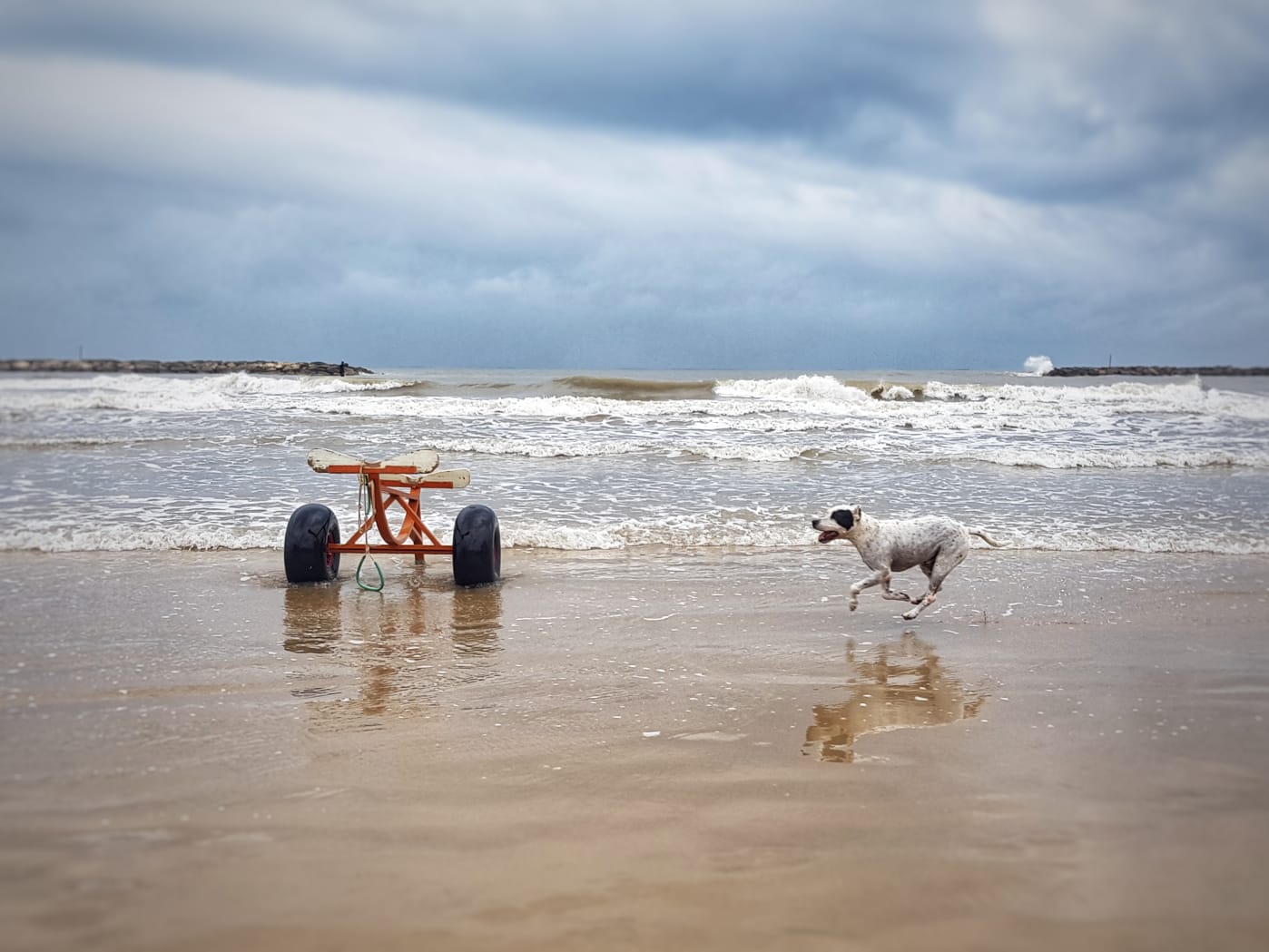 The Blogs: Beachfront winter portraits | Gabi Berger | The Times of Israel