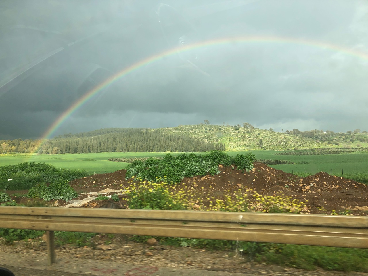 The Blogs: Zoom out to find inspiration | Sally Abrams | The Times of ...