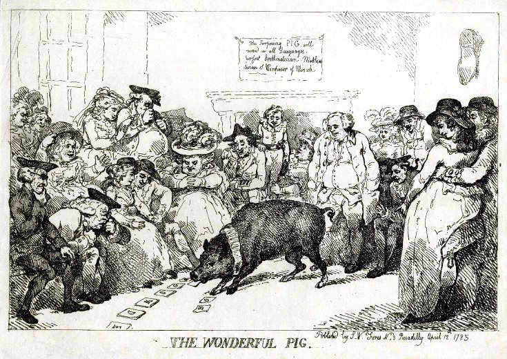 The Blogs: Parshat Re'eh -- The learned pig | David Sedley | The Times ...