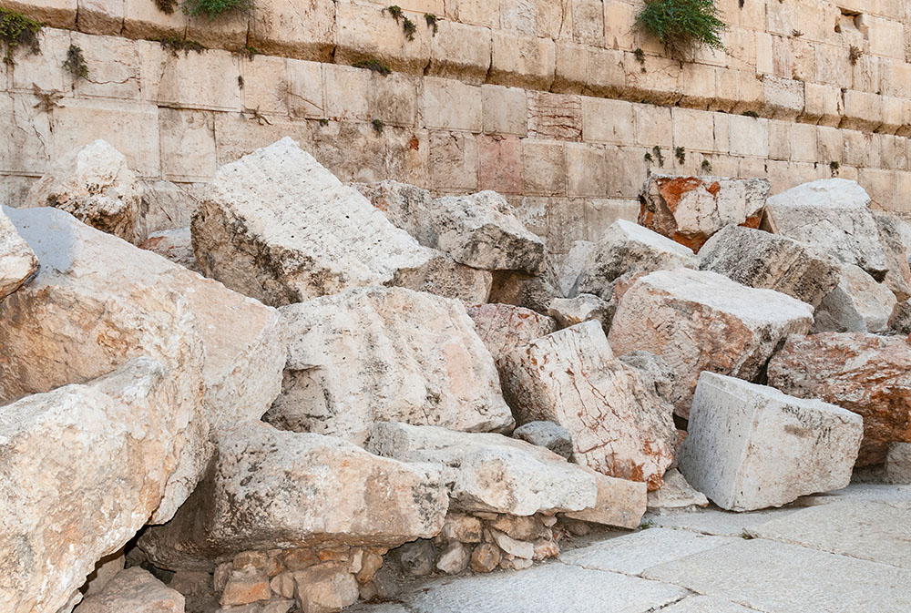 The Blogs: Senseless Hatred – Cause and Cure | Doron Perez | The Times ...