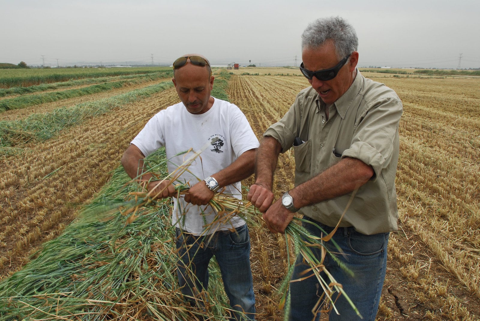 The Blogs: Israel's appalling inaction on climate change | Tammy Gannot ...