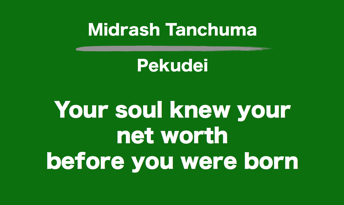 The Blogs: Midrash Tanchuma Pekudei - Your soul knew your net worth ...