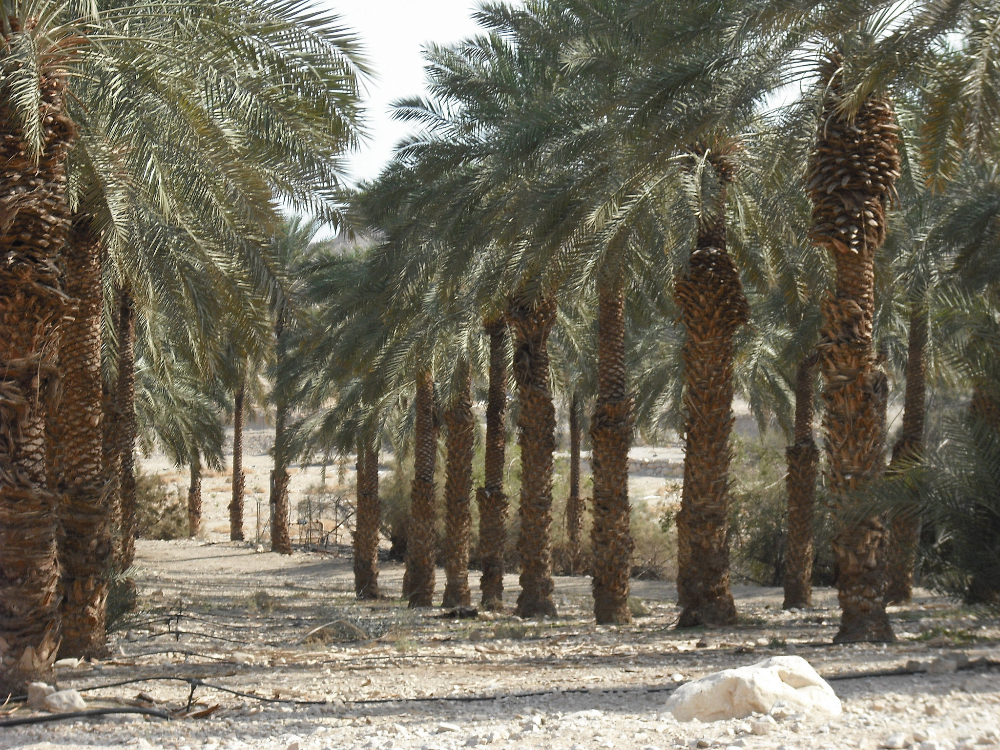 The Blogs: When a Soul Sins | Harry Freedman | The Times of Israel