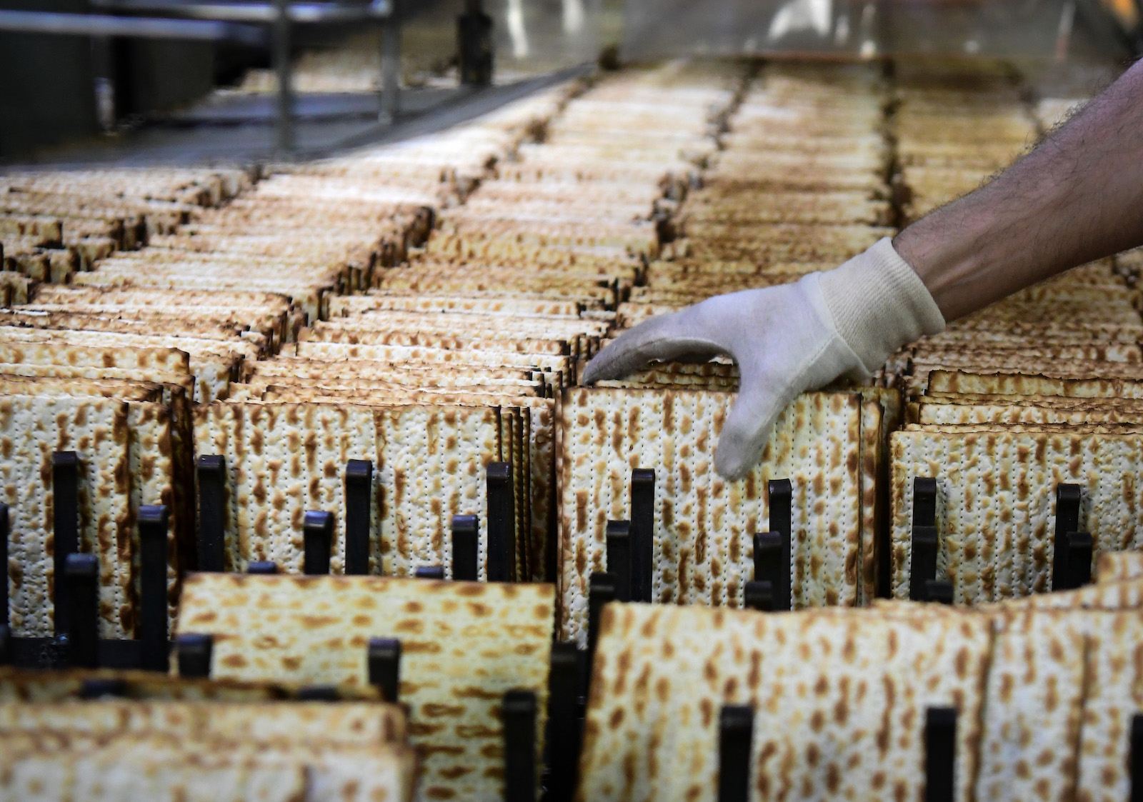 The Blogs: Zoom before the holiday, then turn off the tech: A seder ...