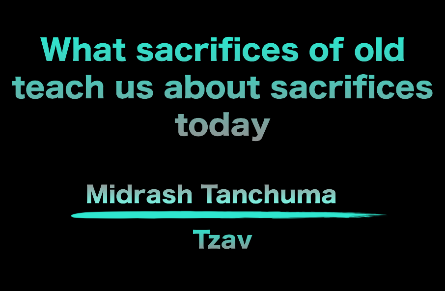 The Blogs: Midrash Tanchuma Tzav - What sacrifices of old teach us ...