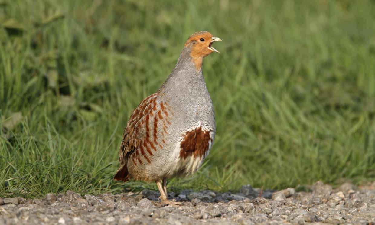 The Blogs: Nobody Knows the Trouble I've Seen | Roger M. Kaye | The ...