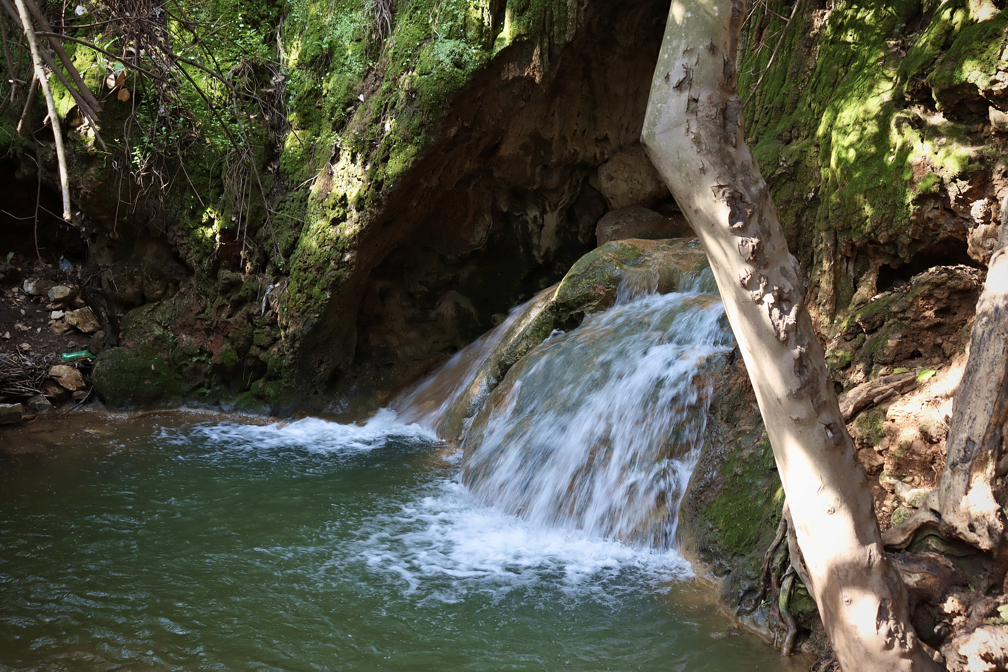 The Blogs: 5 Water Hikes in Israel You Won't Want to Miss | Susannah ...