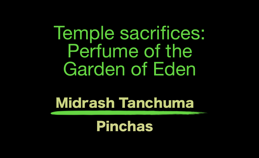 The Blogs: Midrash Tanchuma Pinchas - Temple sacrifices: Perfume of the ...