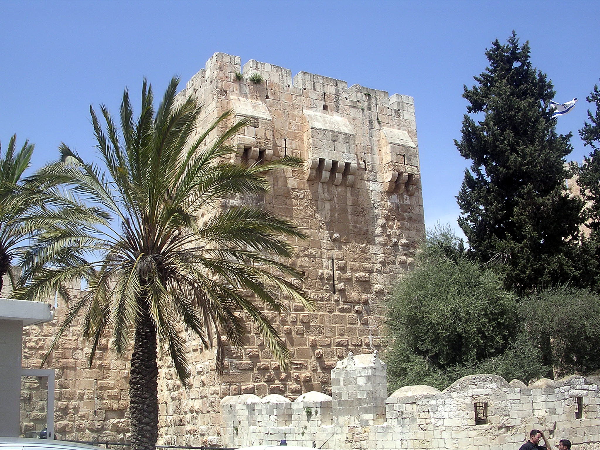 The Blogs: Emulating God by Planting Trees in Israel | Sharona Margolin ...