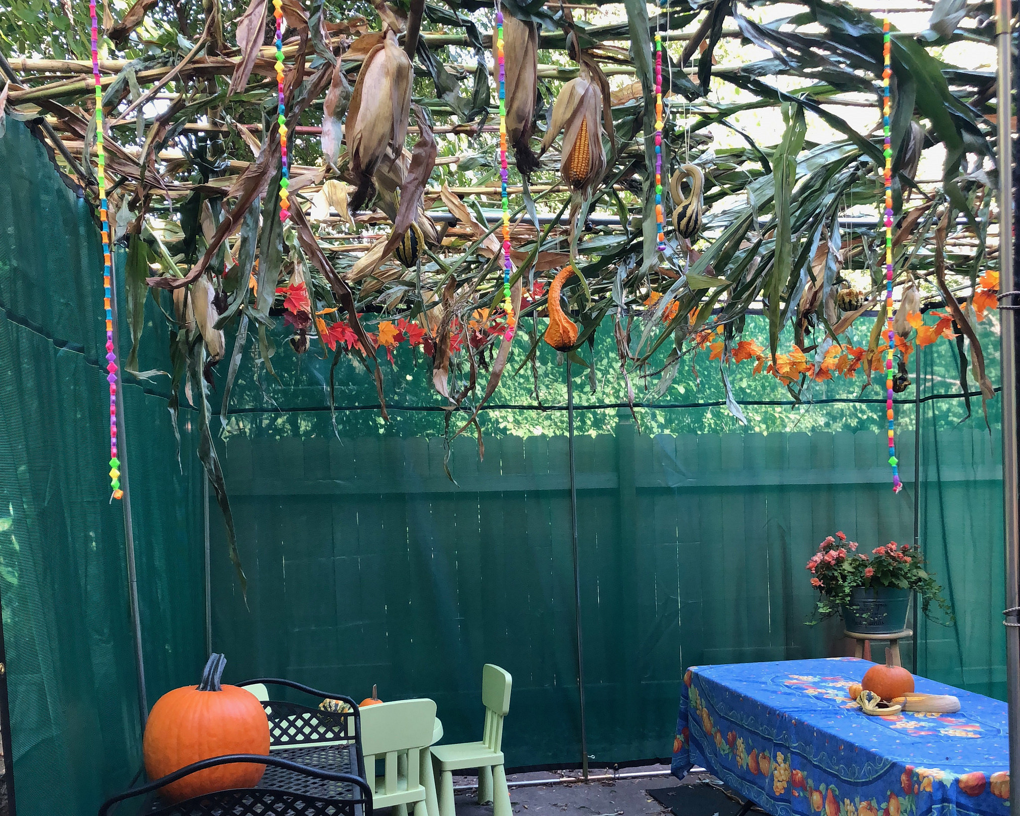 The Blogs: This year, our sukkah can travel but we can't | Sally Abrams ...