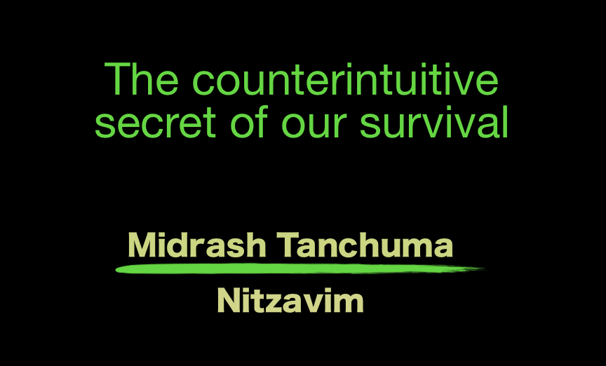 The Blogs: Midrash Tanchuma Nitzavim: The counterintuitive secret of ...