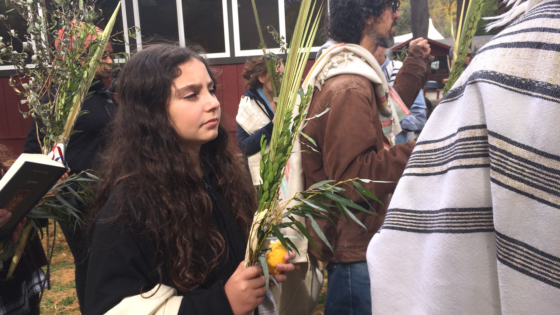The Blogs: The shaman’s rainstick: The eco-Torah of Sukkot | David ...