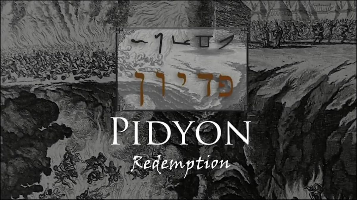 The Blogs: Pidyon HaBen: What is the redemption of the firstborn ...