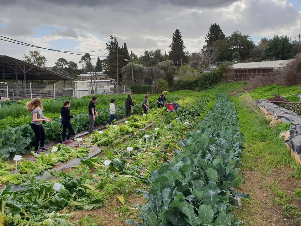 The Blogs: Honi the Circle Maker in Our Time | Carol Goodman Kaufman ...