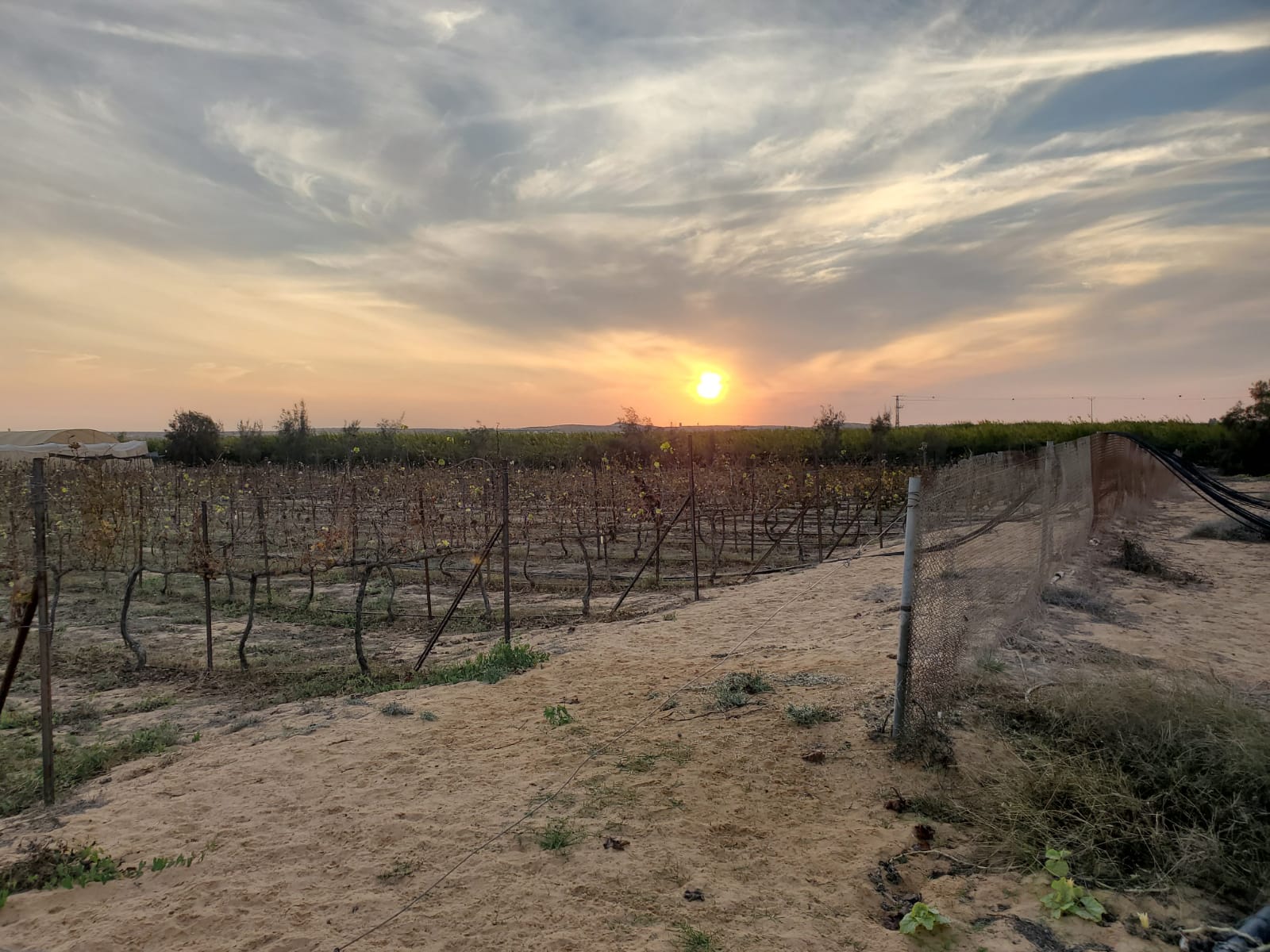 The Blogs: Israel's fledgling regenerative business consciousness ...