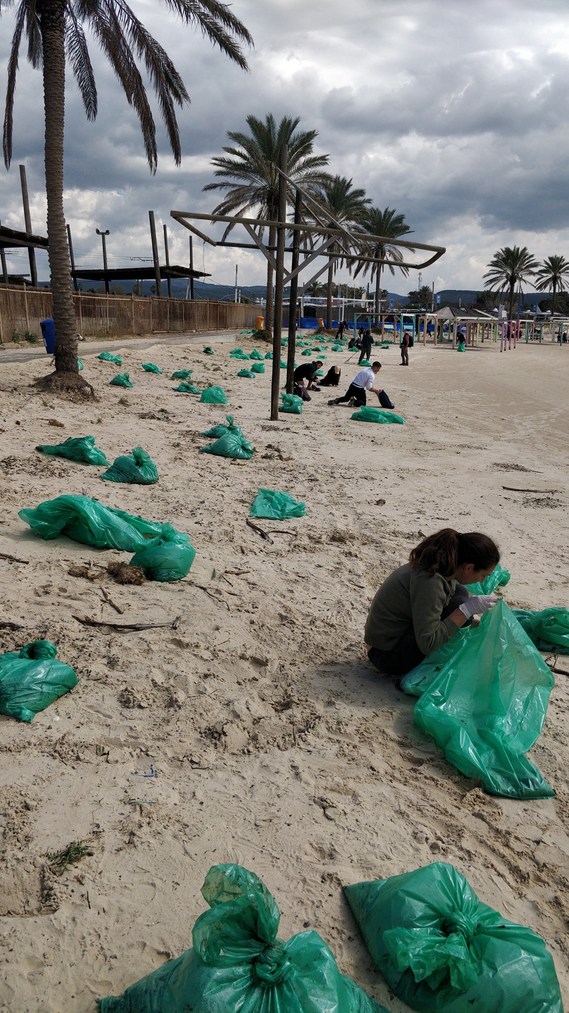 The Blogs: A little black blob in the sand | Daniel Orenstein | The ...