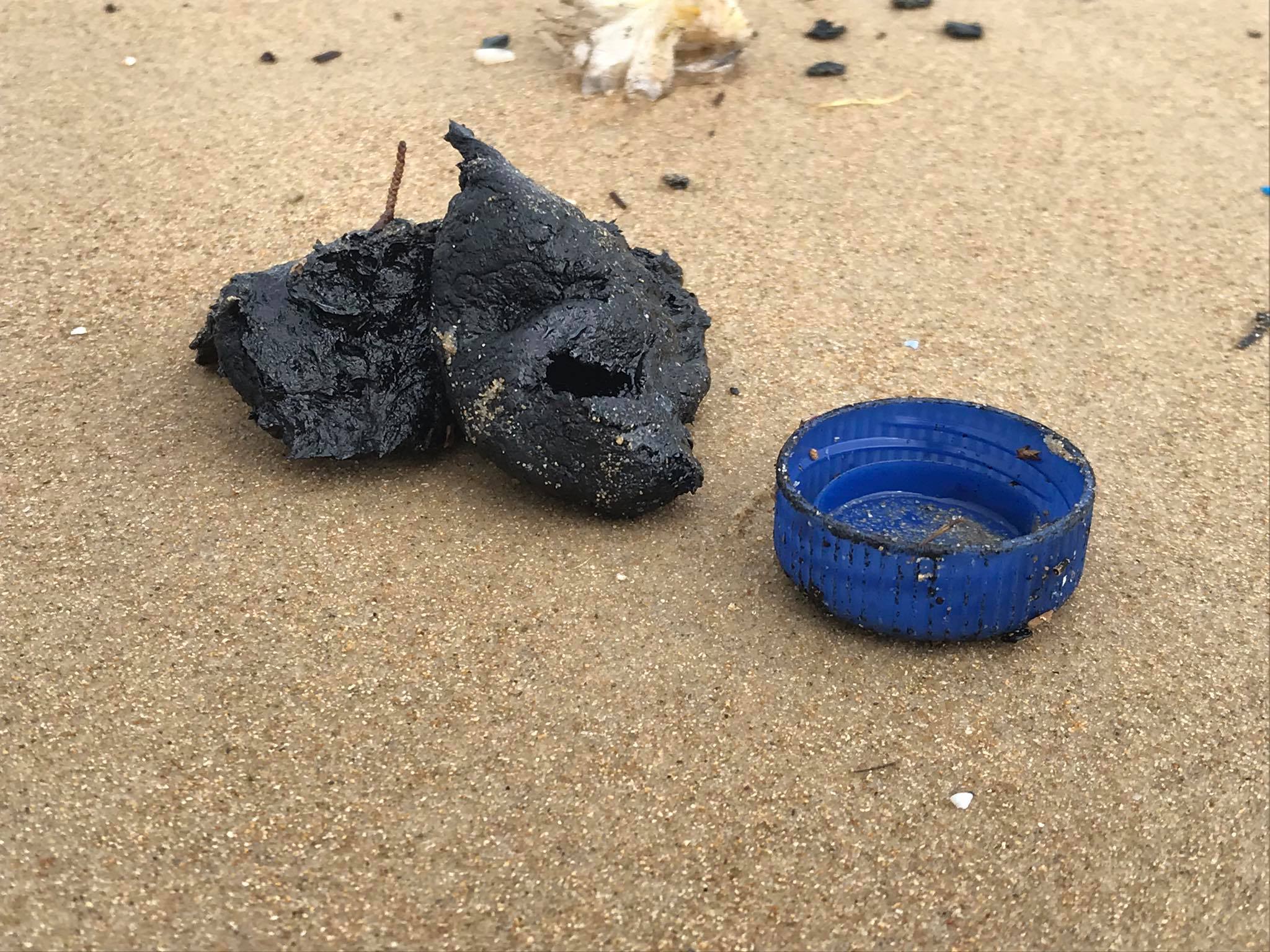 The Blogs: A little black blob in the sand | Daniel Orenstein | The ...