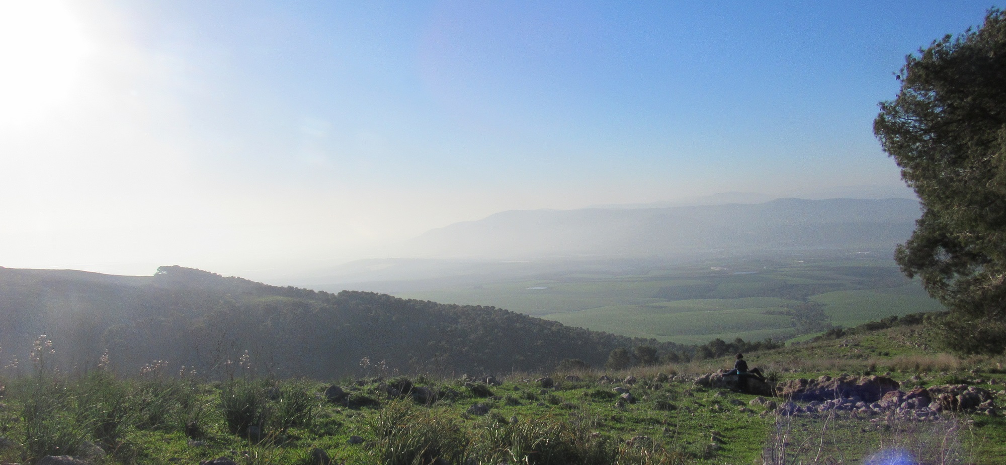 The Blogs: The Answer is Blowing in the Wind | David Ben Horin | The ...