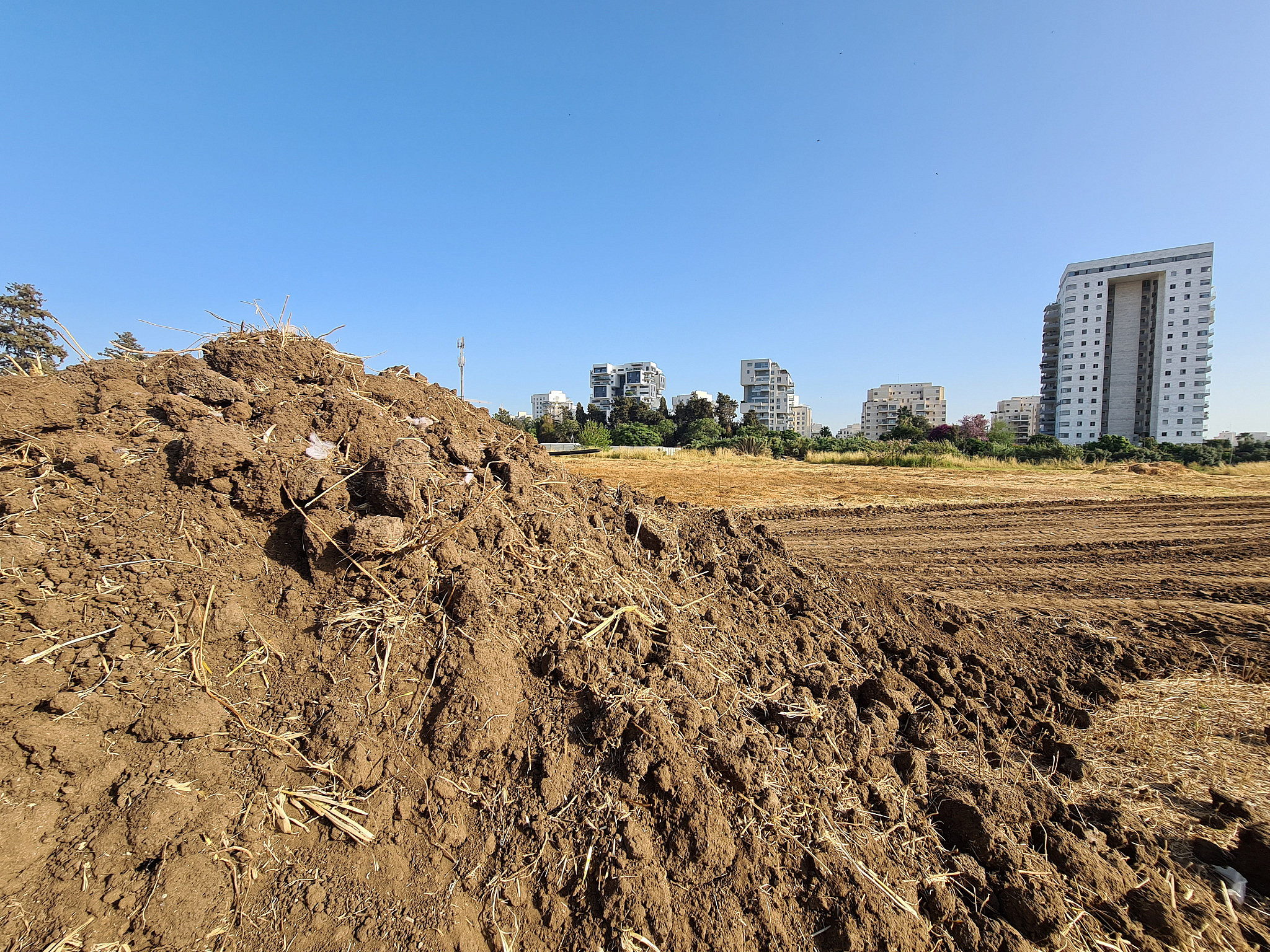 The Blogs: The final field: Part one | Dan Savery Raz | The Times of Israel