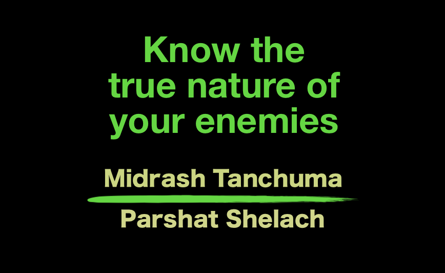 The Blogs: Midrash Tanchuma Korach: Know the true nature of your ...