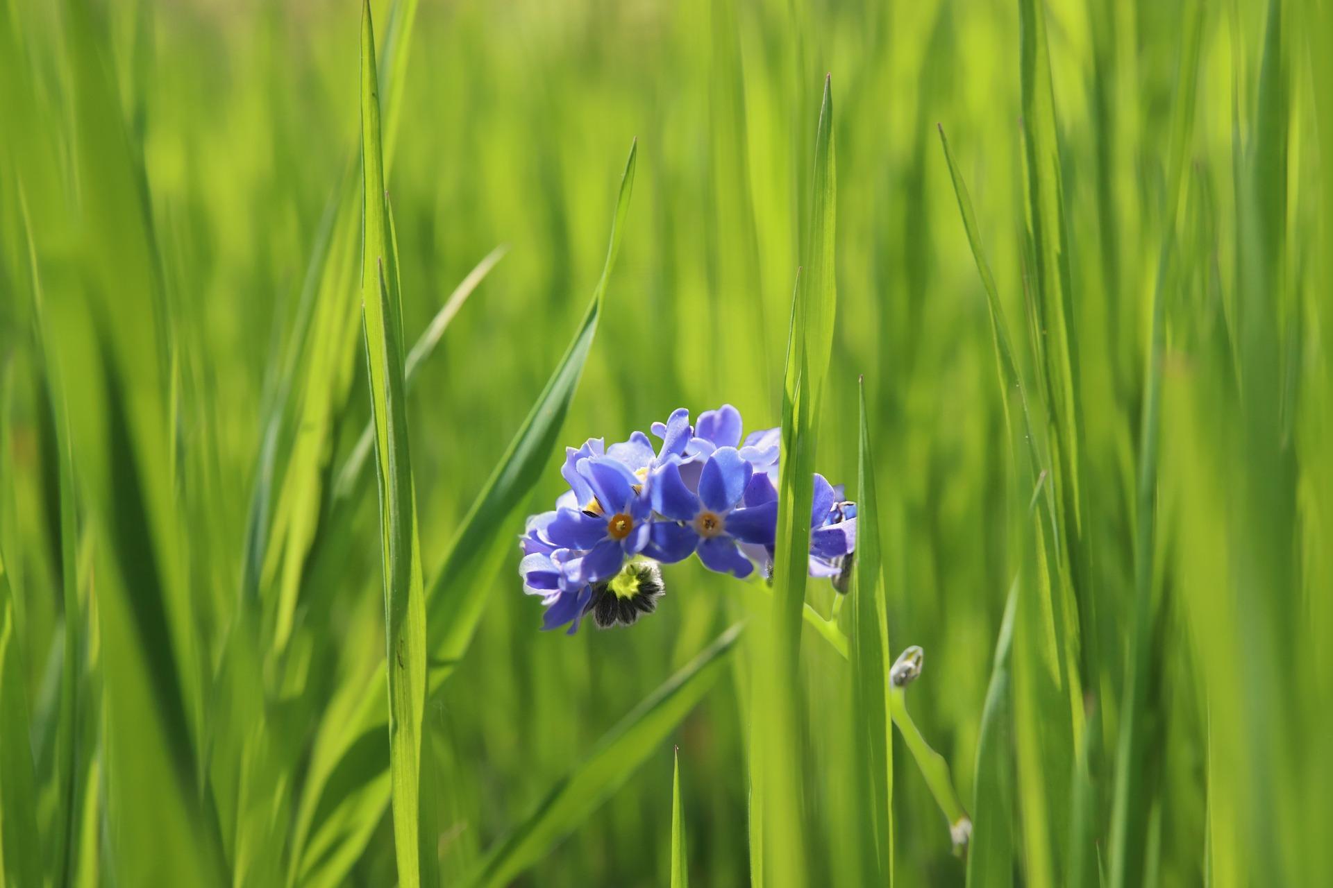 The Blogs: Parshat Chukat: The Unappreciated Greatness | Sruli Fruchter ...