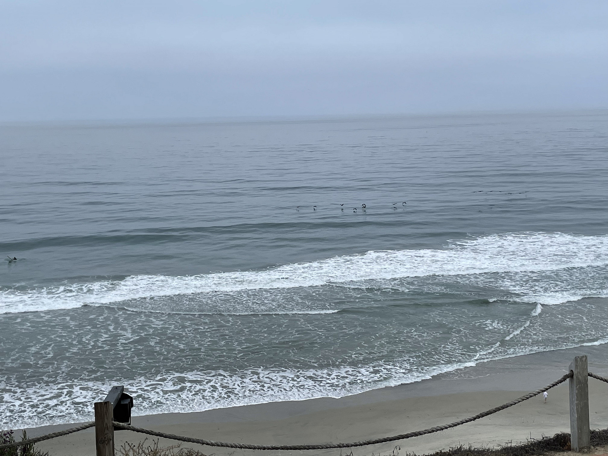 The Blogs: Surfside | Vicki Cabot | The Times of Israel
