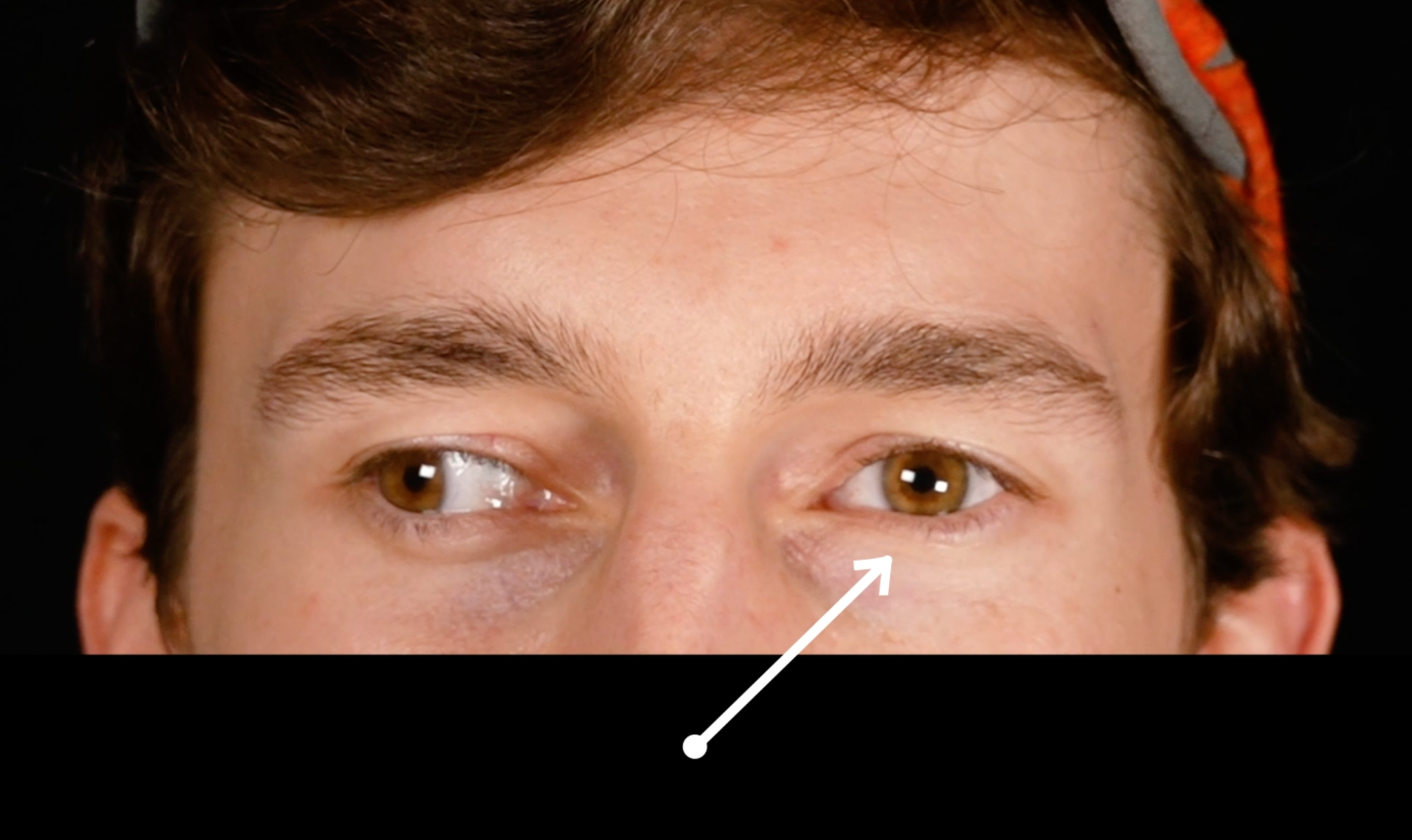 The Blogs: Seeing the World Through Whale Eyes - Yom Kippur | Leora ...