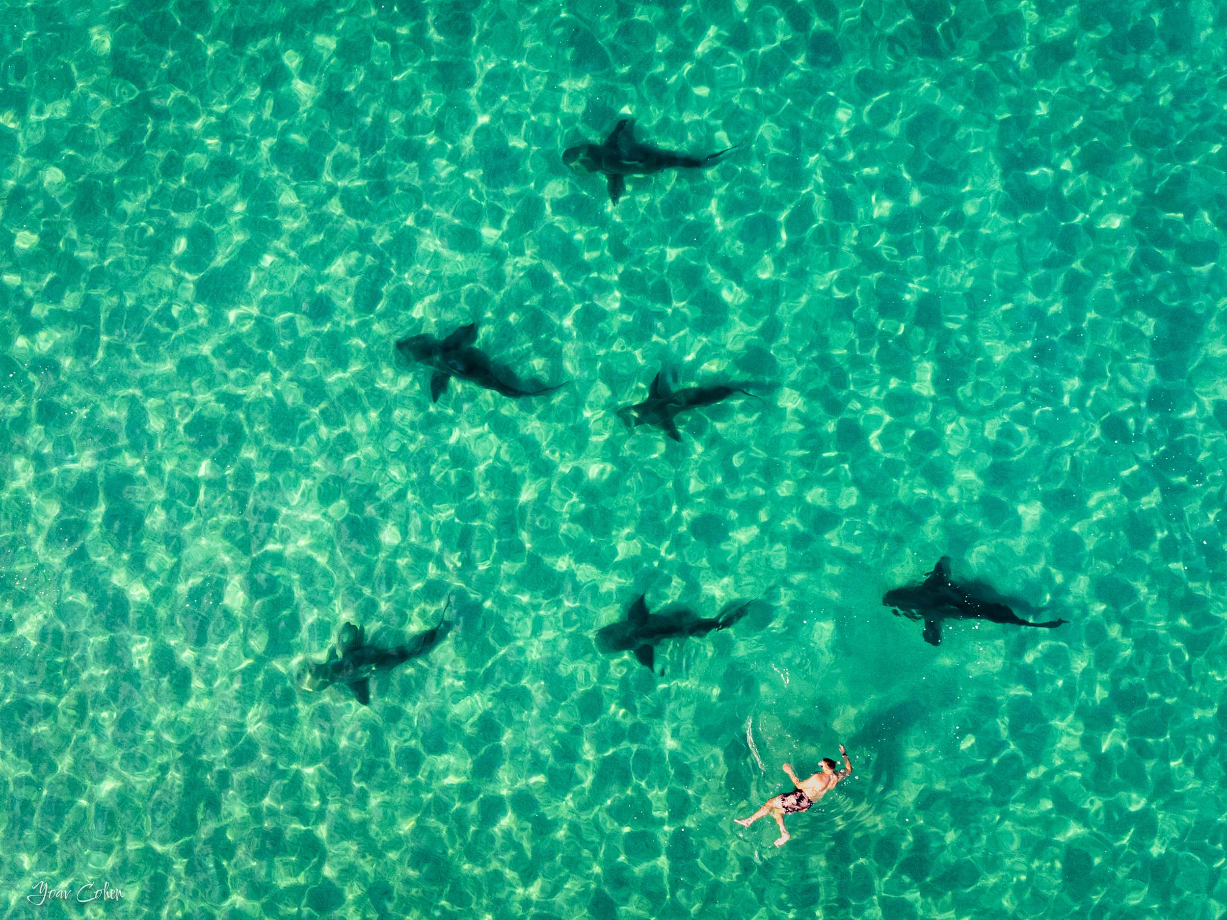 The Blogs: Ending 2021 on a high: 12 Israeli secrets captured from ...