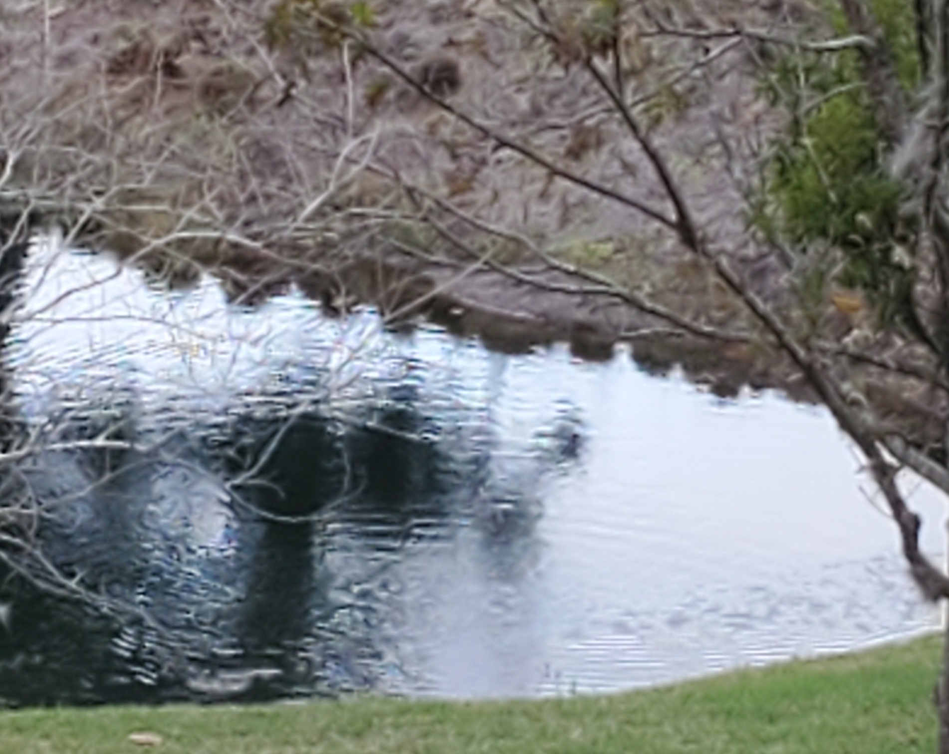 The Blogs: Oasis in Time | Jonathan Weinkle | The Times of Israel