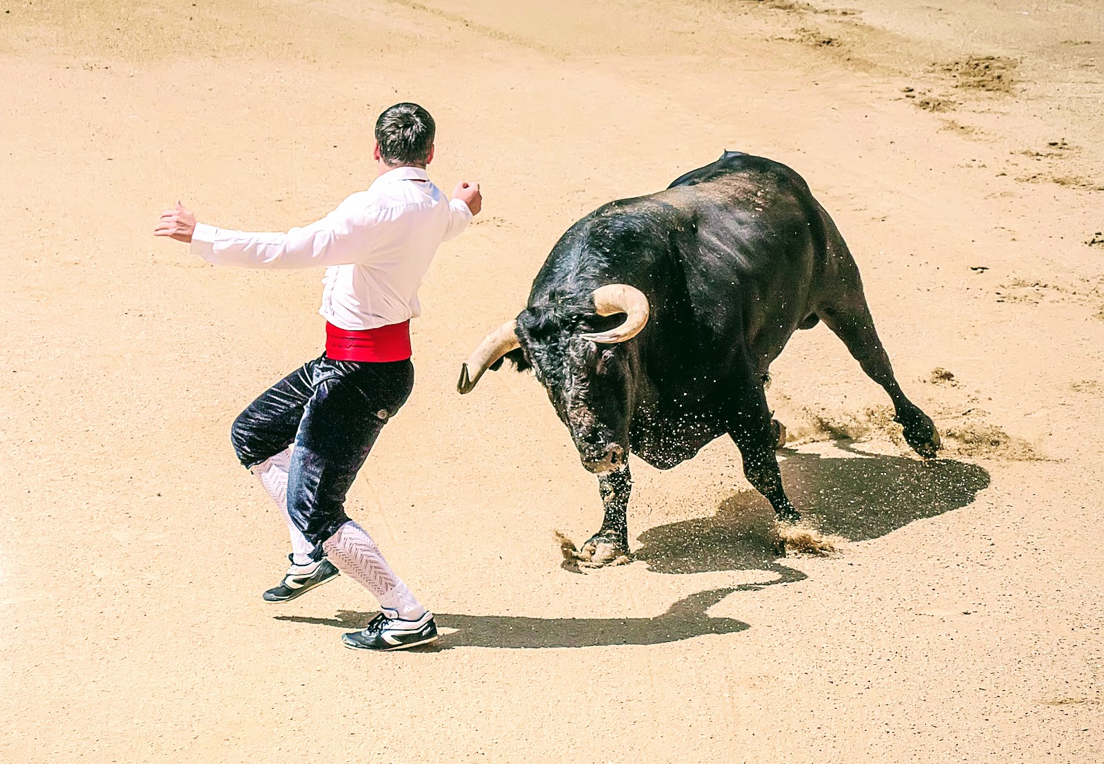 The Blogs: Goading The Bull In Ukraine | Andy Blumenthal | The Times of ...