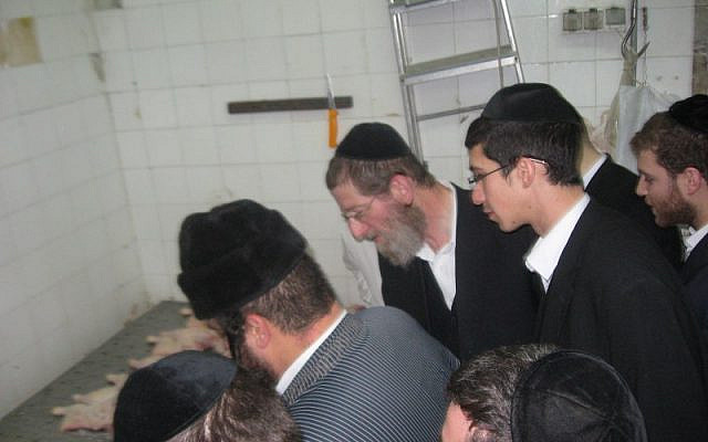 The Blogs: To Slay and Slaughter | Reuven Chaim Klein | The Times of Israel