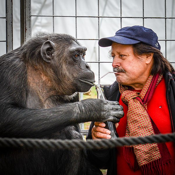 The Blogs: Stop Lying and Stop Making Crap Up | Mort Laitner | The ...