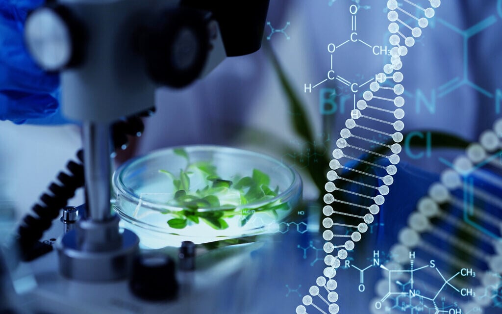 The Blogs: Israel must join the global competition for biotech talent ...