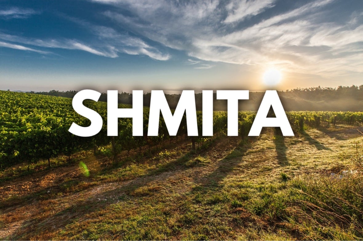 The Blogs: Sensational Succulents, Shmita and Hadassah | Ronnie Katz ...