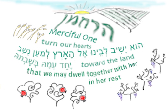 The Blogs: This is the work – do not desist from it! ~ Shemitah in four ...