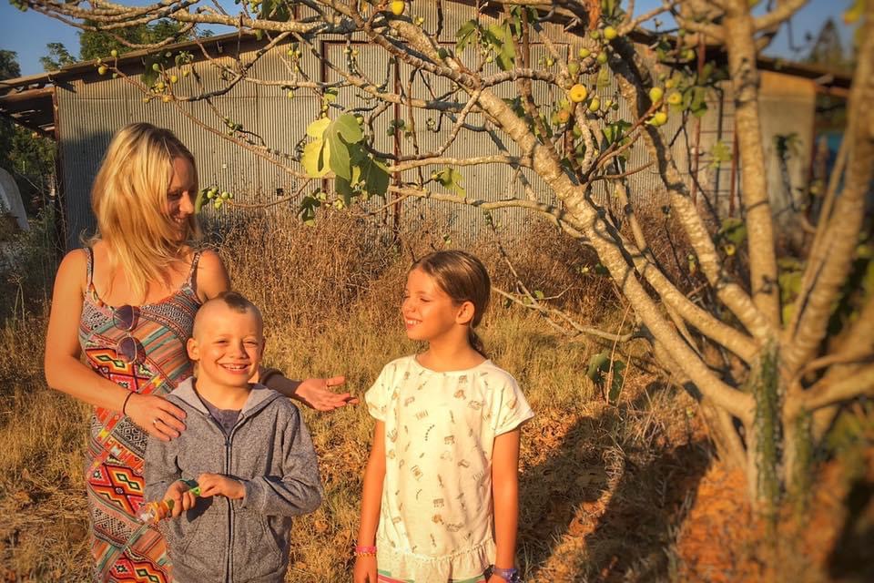 The Blogs: Fig tree summer | Sarah Tuttle-Singer | The Times of Israel