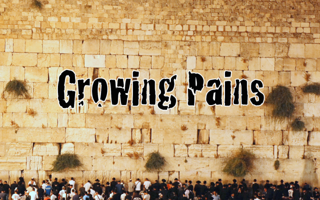 The Blogs: Growing Pains: A Tisha B'Av Reflection | Mark Wildes | The ...