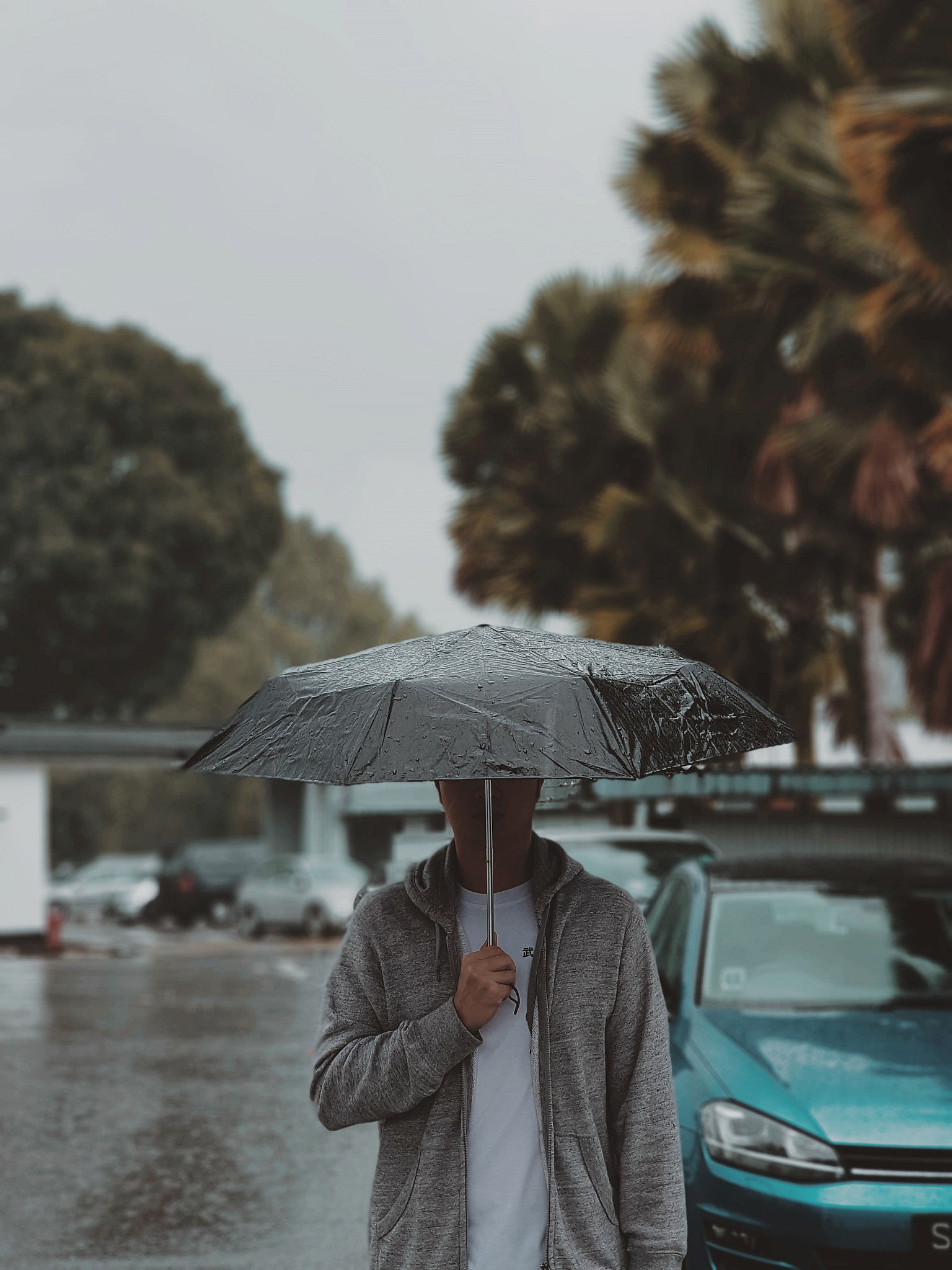 The Blogs: Three steps to real freedom | Shlomo Ezagui | The Times of ...