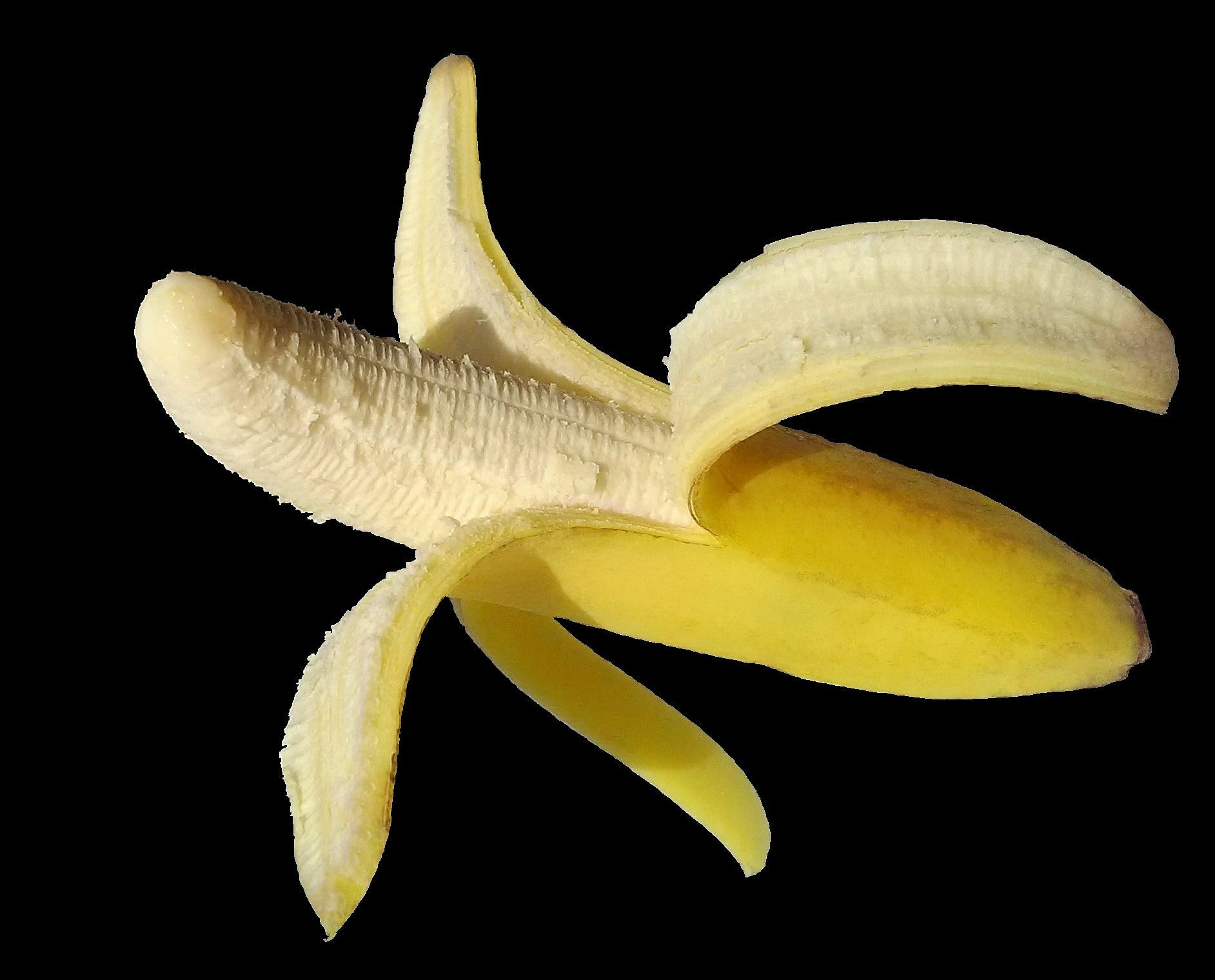 The Blogs: Last banana | David Sedley | The Times of Israel