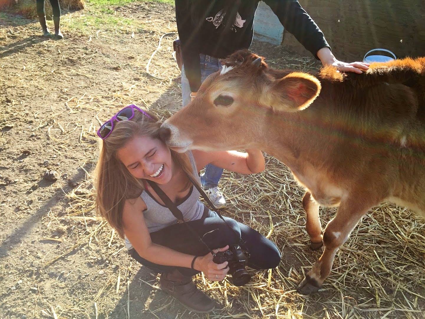 The Blogs: The Introspective Introvert: Vegan Jewish Dynamo Michelle ...