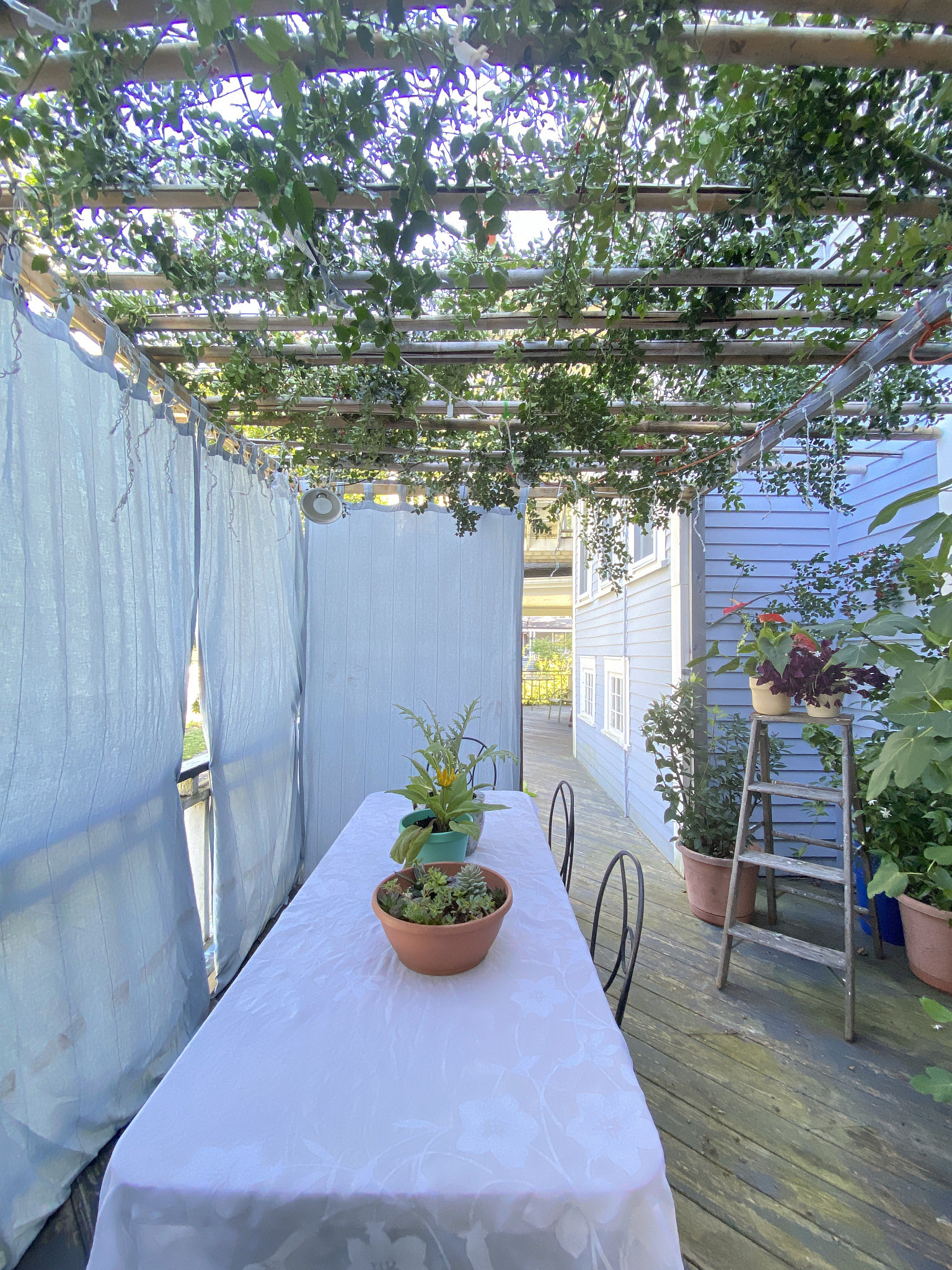 The Blogs: Sukkot - You Can Do It! | Leann Shamash | The Times of Israel