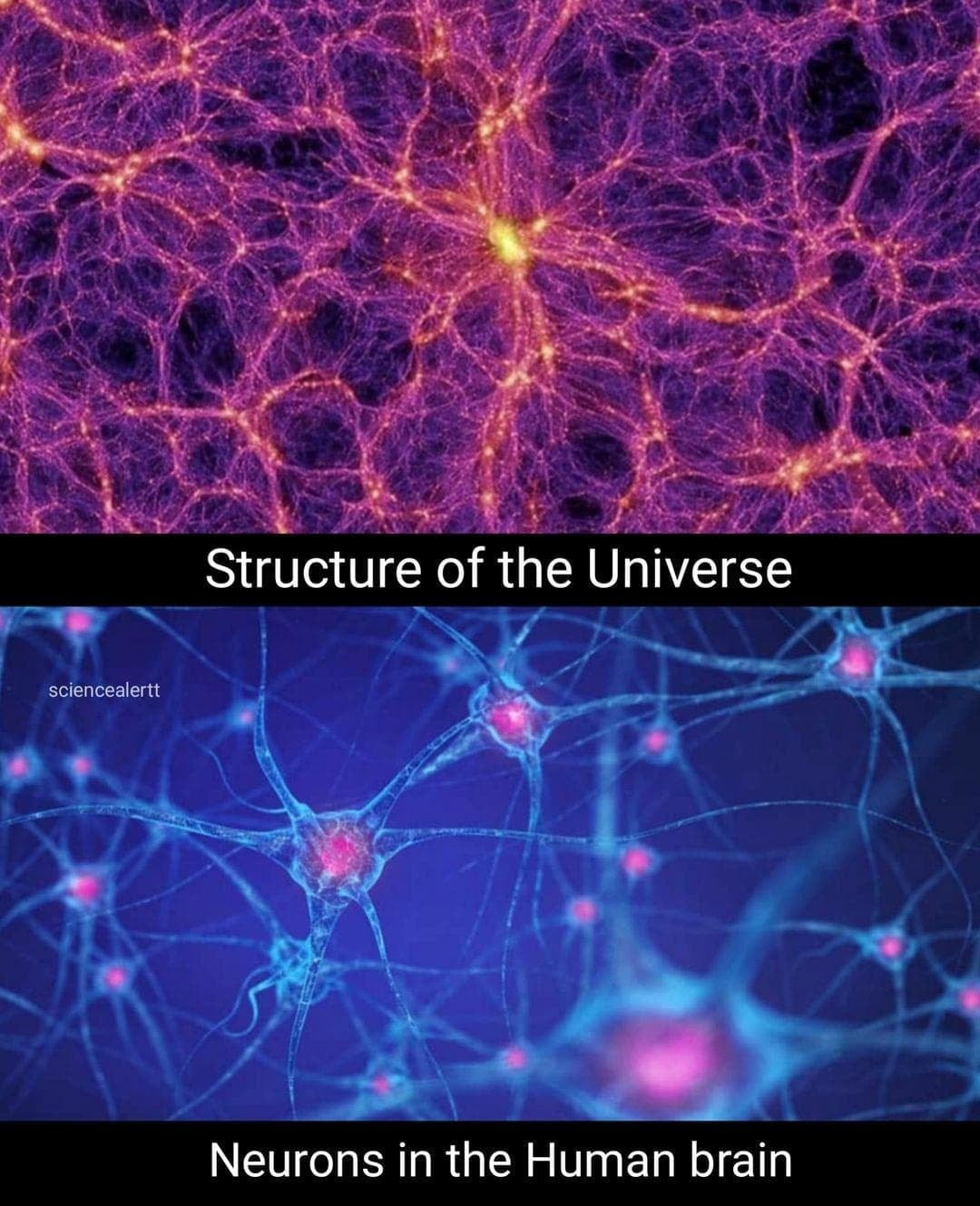 The Blogs: Everything & Nothing: Ayin As The Cosmic Web | Yael Chaya ...