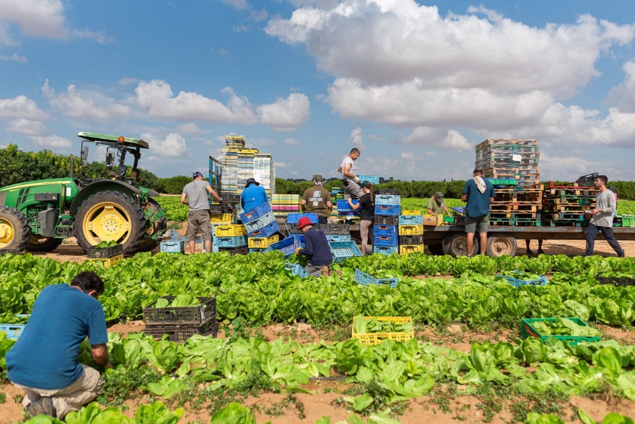 The Blogs: From the ground up: Saving Israel’s agricultural future ...