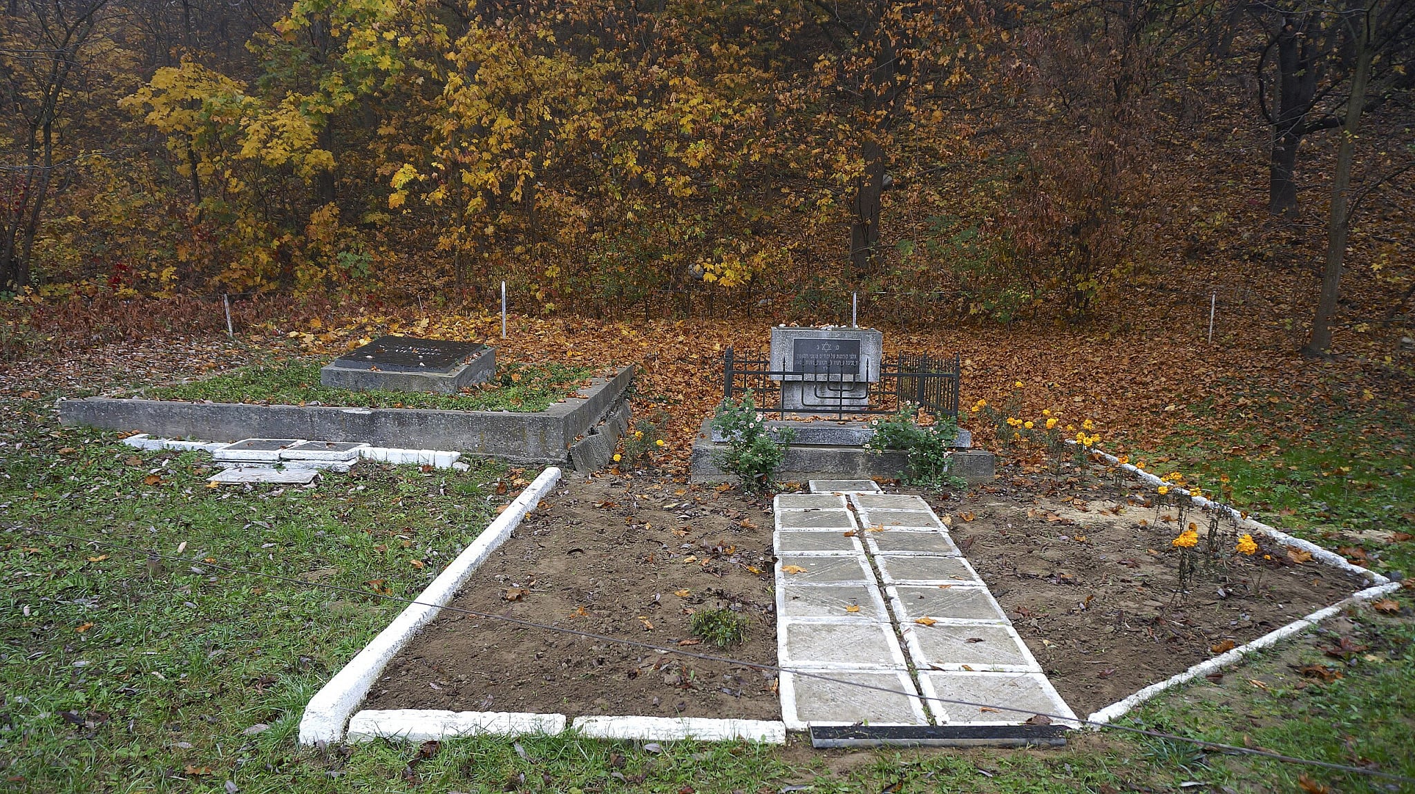 The Blogs: Beyond Auschwitz: The nameless victims in forgotten mass ...