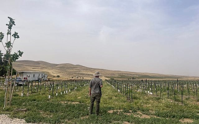 The Blogs: Connecting to the land: Israeli agriculture for growth and ...