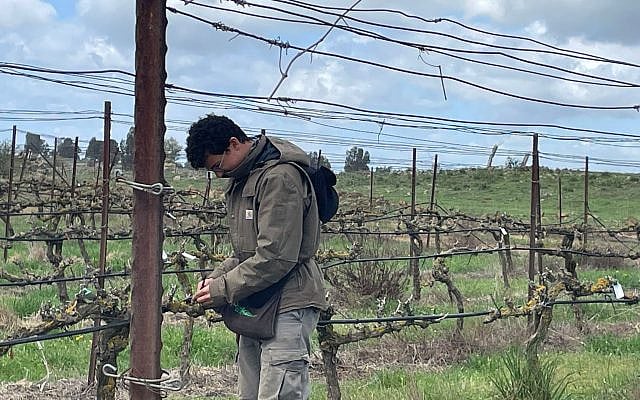 The Blogs: Connecting to the land: Israeli agriculture for growth and ...