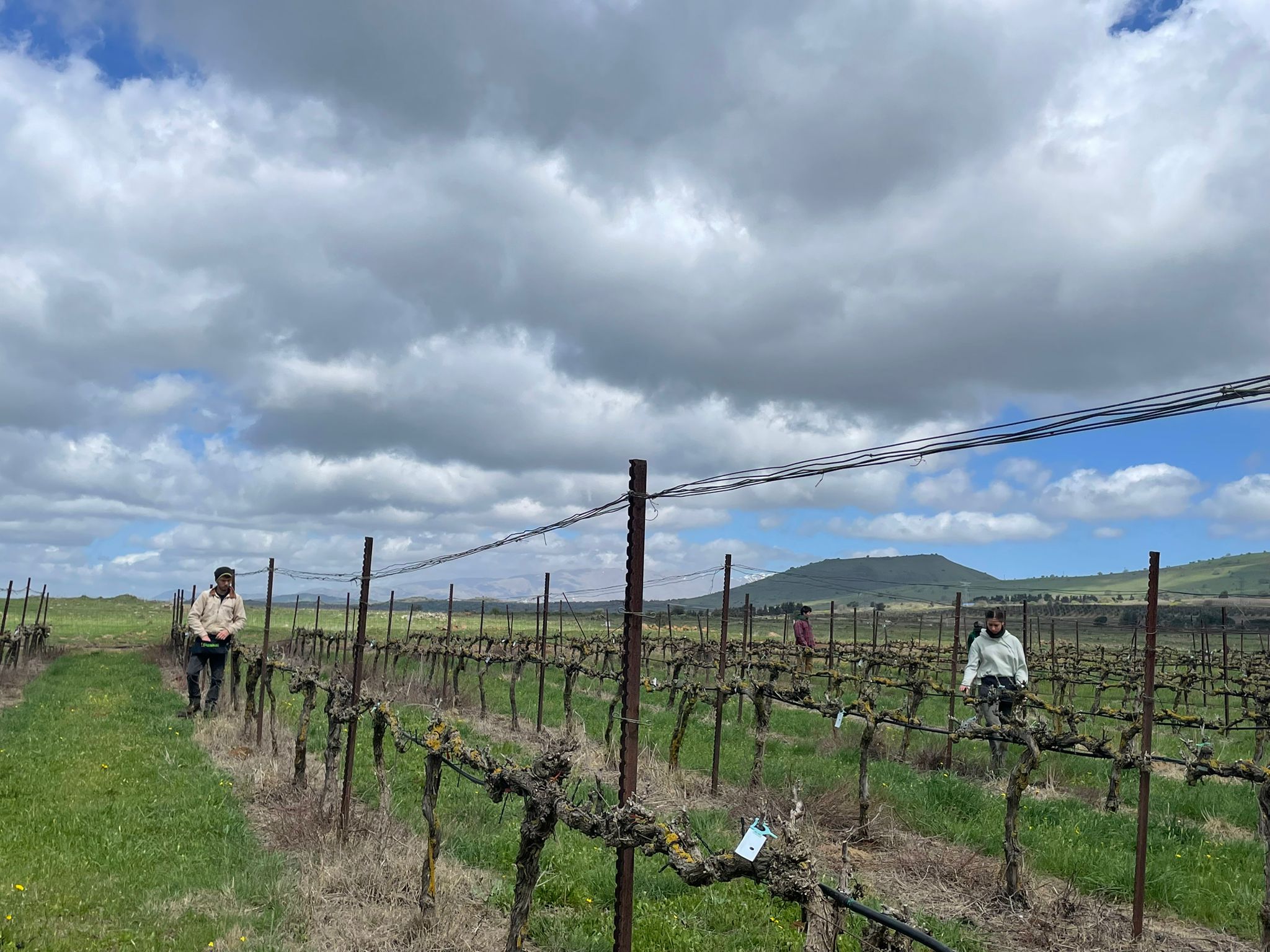 The Blogs: Connecting to the land: Israeli agriculture for growth and ...